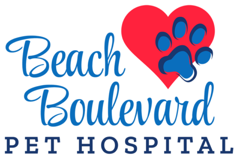 Best Veterinary Hospital In Huntington Beach, CA | Beach Boulevard Pet ...